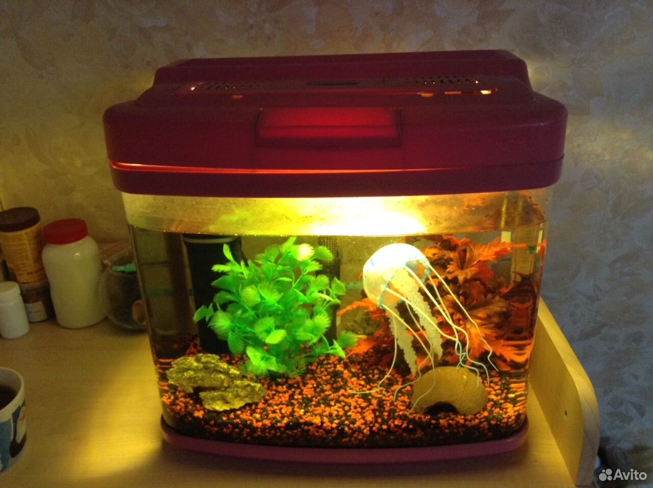 Аквариум