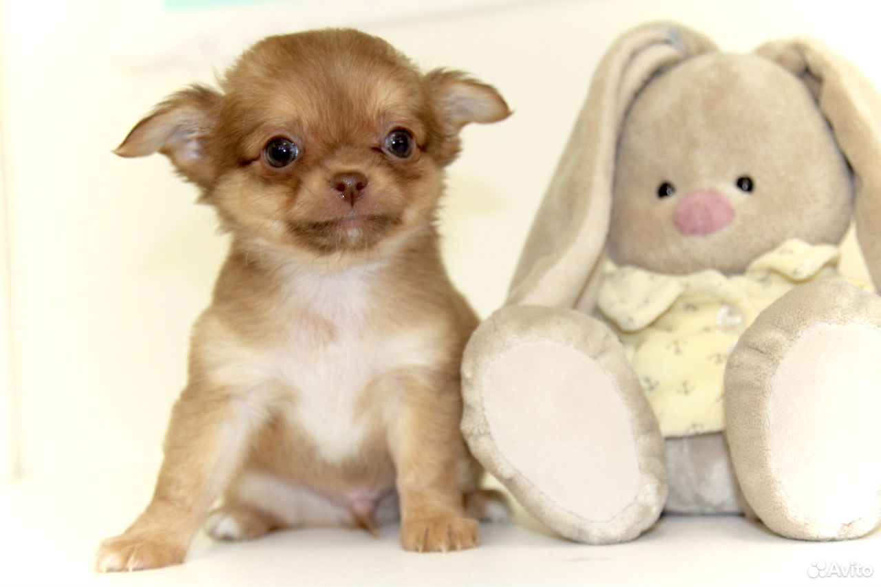 Плюшевый ласковый мини мальчик