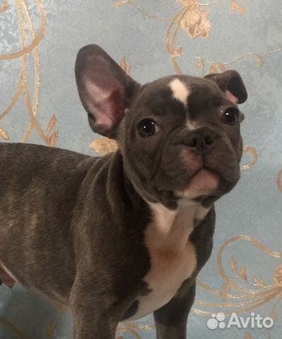 Легендарный Вавилон