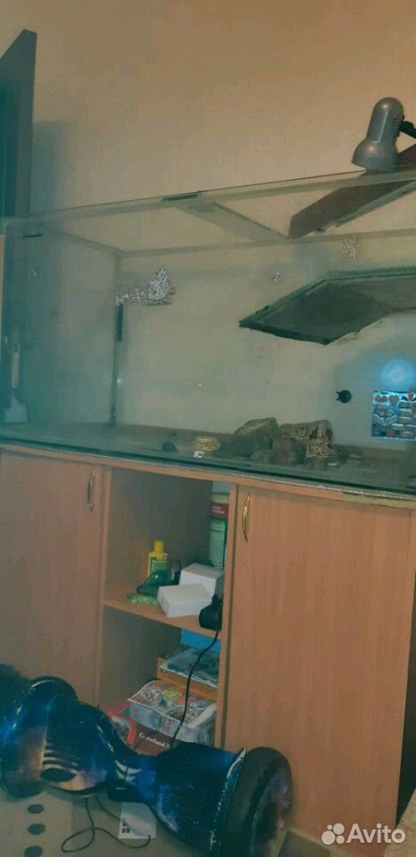 Аквариум с тумбой,фильтром и всем необходимым для
