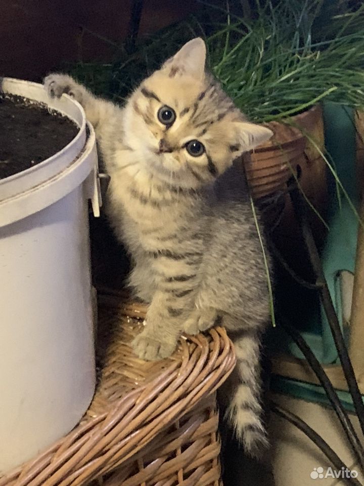 Милая девочка