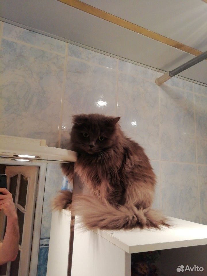 Нибелунг-дымка