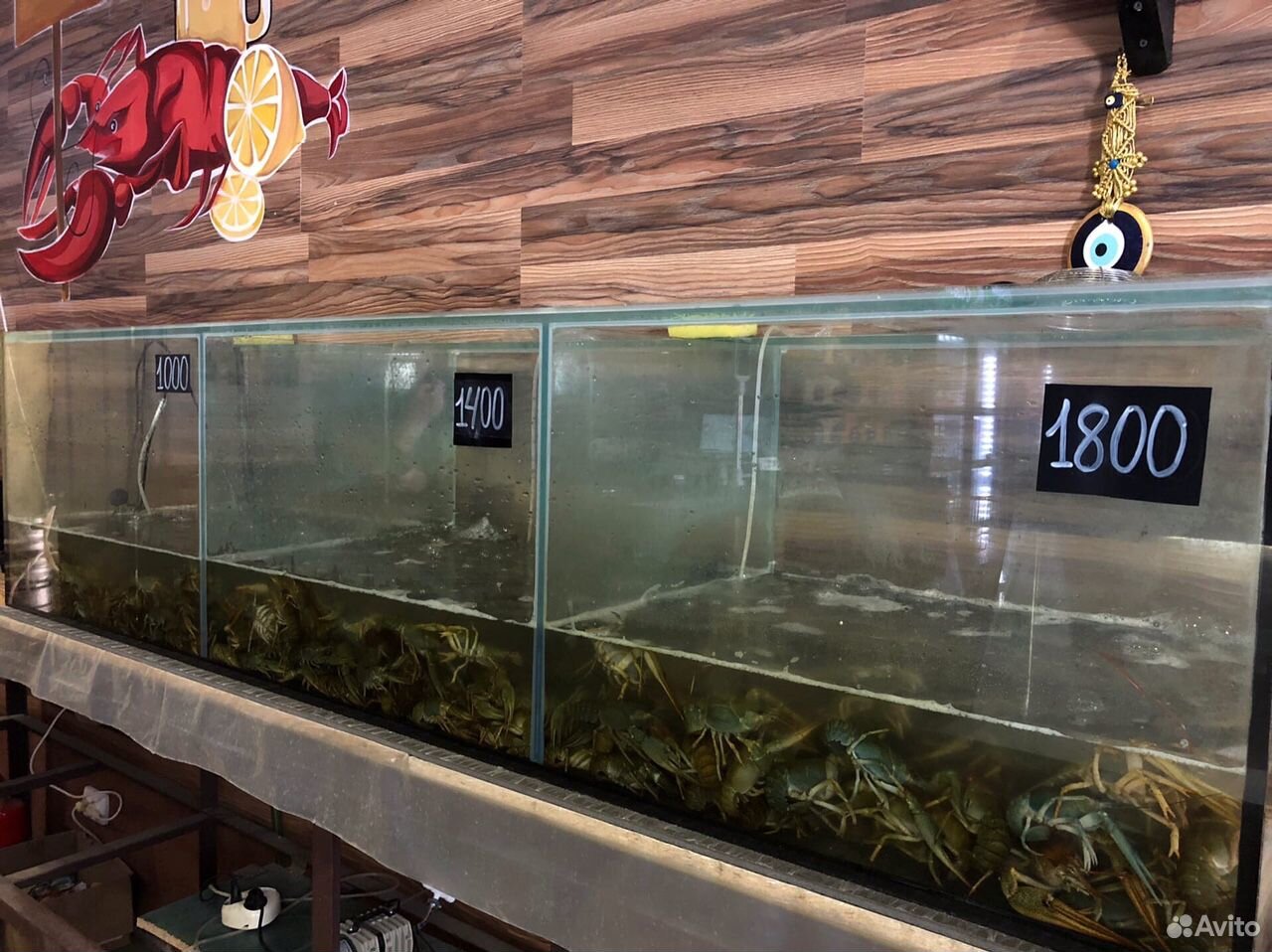 Продам аквариумное оборудование для раков