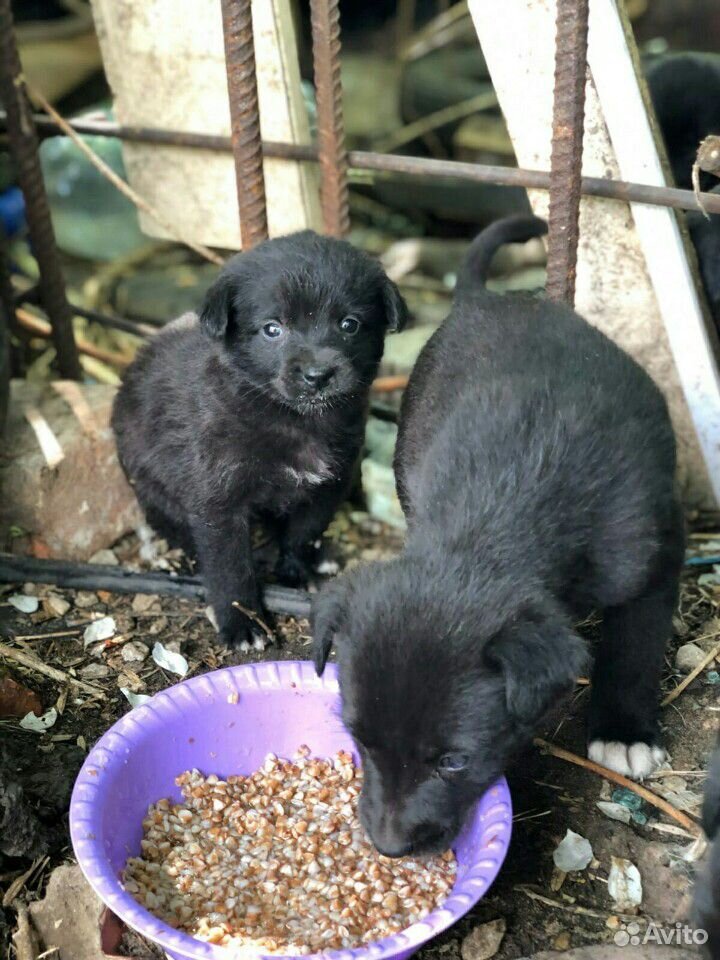 Мальчишки и девчонки ждут родителей
