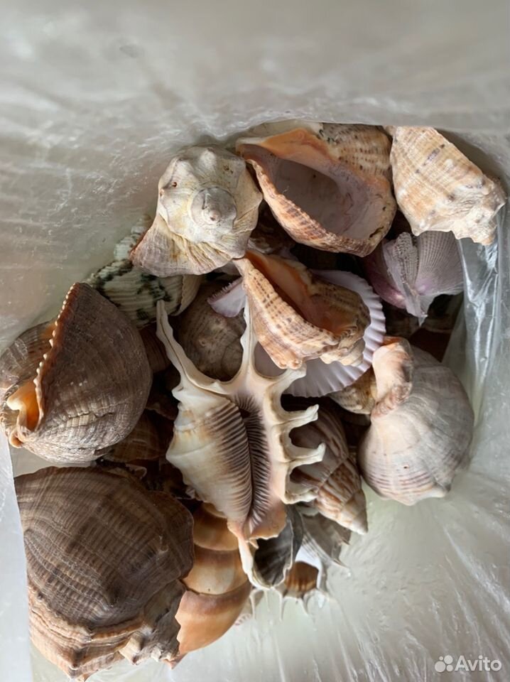 Декор для аквариума