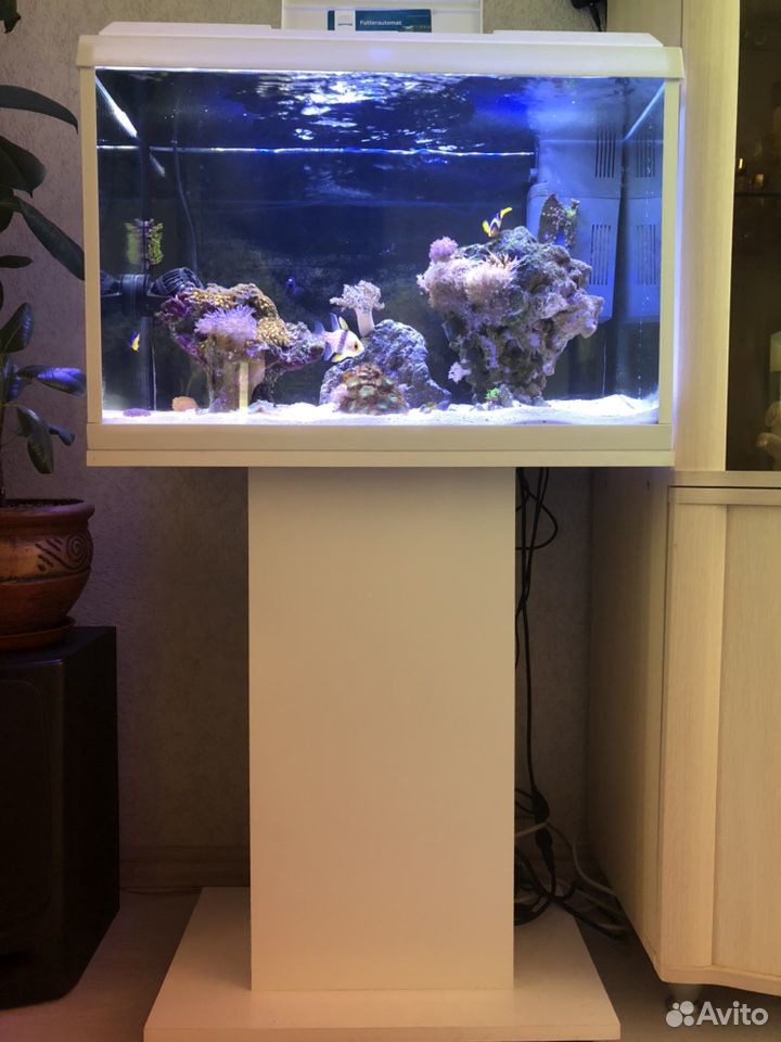 Морской мини аквариум