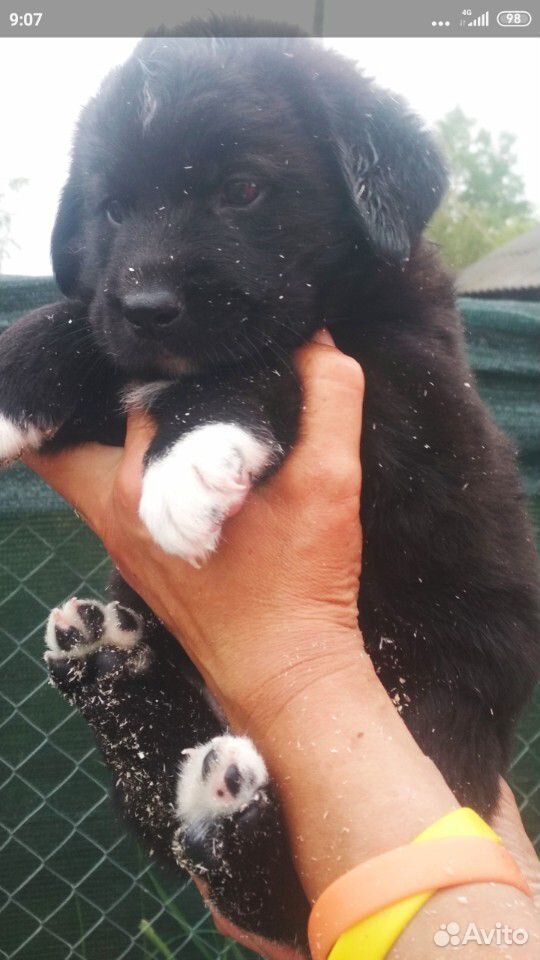 Маленький пончик 1 месяц