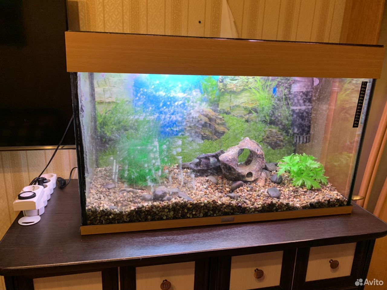 Аквариум