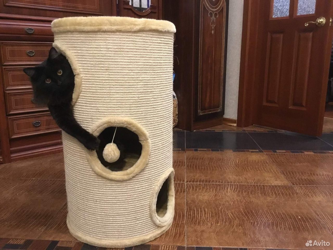 Нужна вязка (Йоркского шоколадного кота)