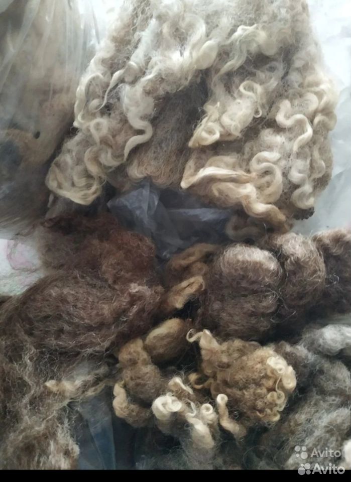 Овечья шерсть