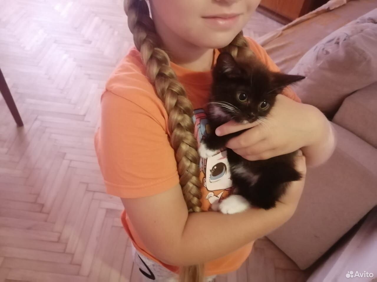Котята