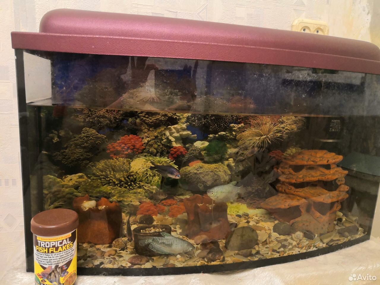 Аквариум с фильтром и рыбами