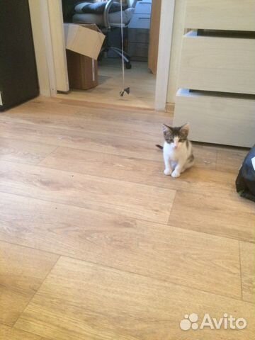 Малышня-карандашня Семушка