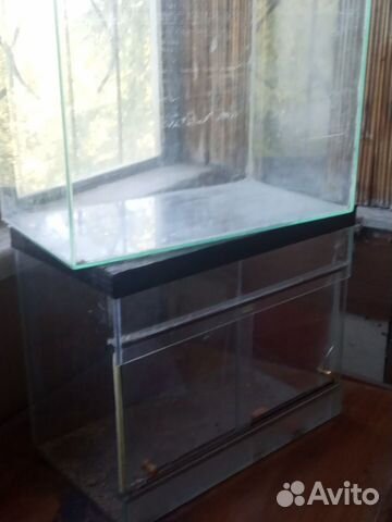 Аквариум и террариум