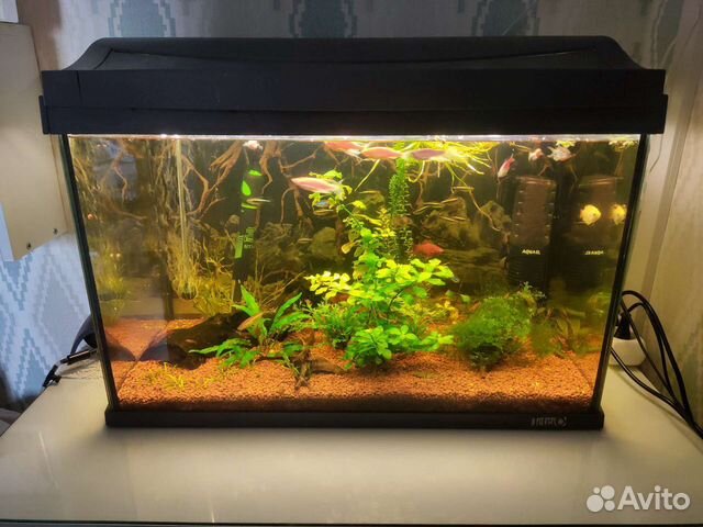 Аквариум Tetra 60l со всем содержимым