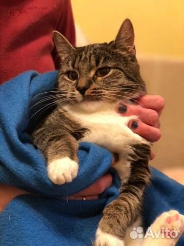 Красавица Маруся около 1.5 лет