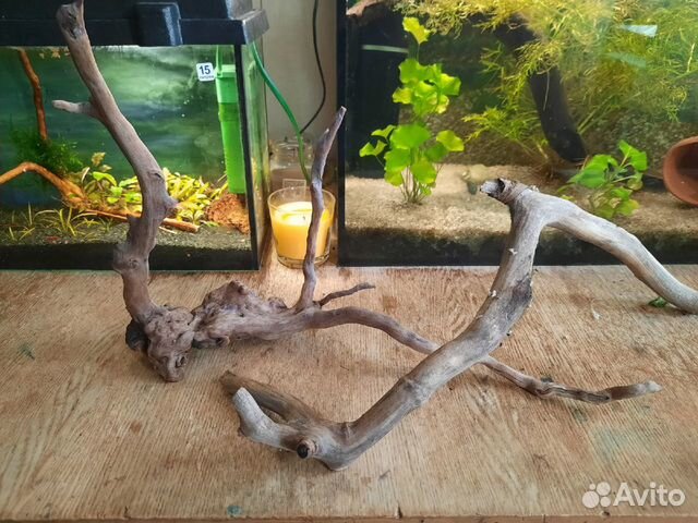 Коряги и фильтр для аквариума