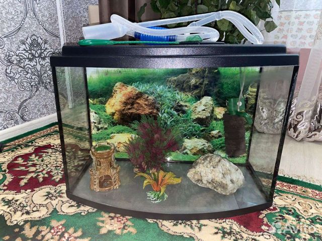 Аквариум