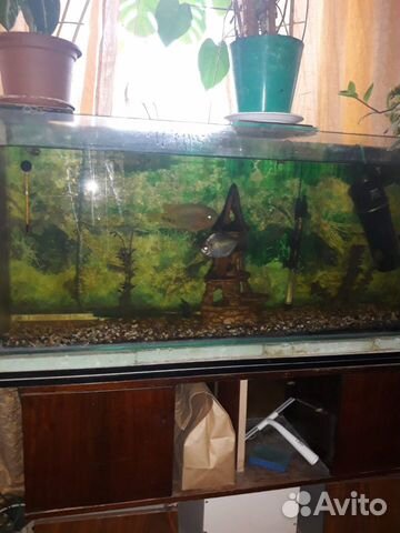 Аквариум 150л, бесплатно