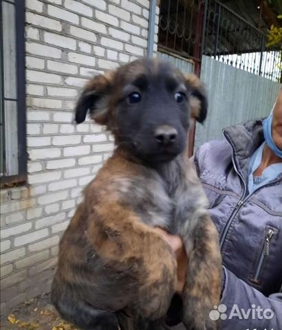 Малыши в семью