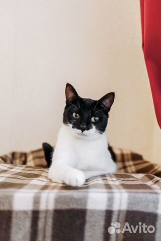 Кайли в поисках семьи