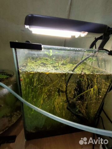 Аквариум aquael cube 30