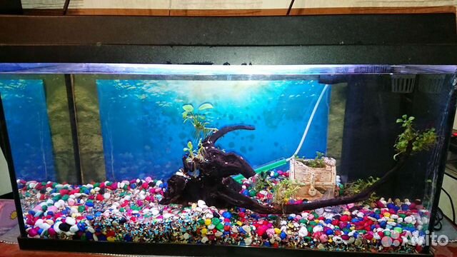 Аквариум "juwel record 600" 110 л. Б/у