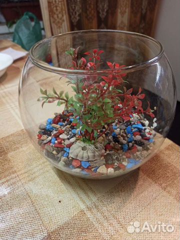 Флорариум аквариум шар плоскодонный