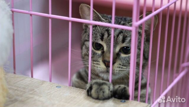Ждун Каспер очень ждёт того, кого будет ждать