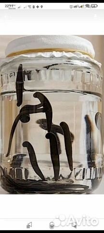 Пиявки медицинские