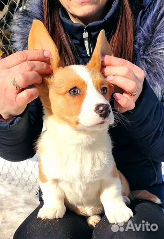 Яркая девочка