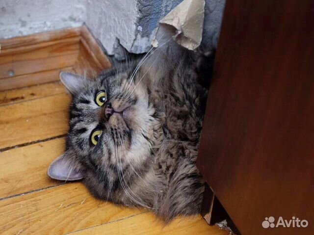 Красавец-мужчина в активном поиске