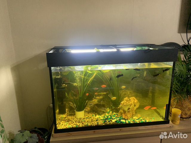 Аквариум