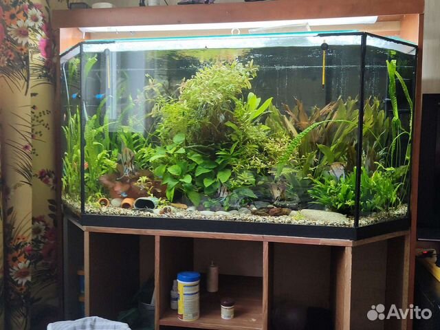 Аквариум
