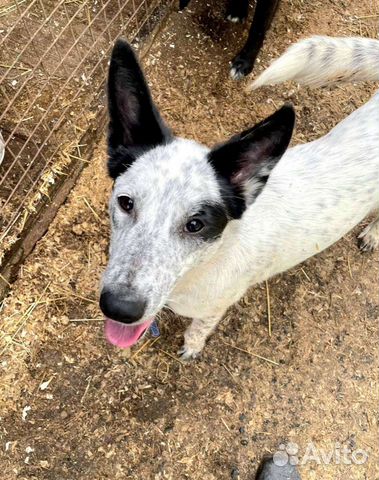 Ребенок в холодной клетке ищет родителей