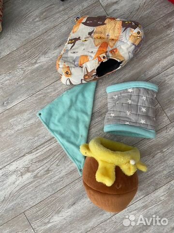 Морская свинка / крыса бесплатно