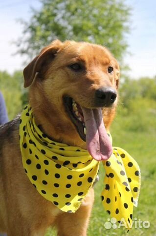 Заперта в клетке