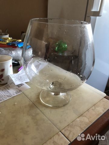 Аквариум рюмка