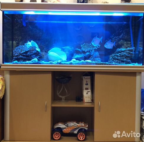 Аквариум 460 л