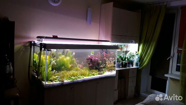 Диодный светильник для аквариума