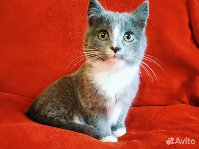 2,5месяцев деаочка,ласковая