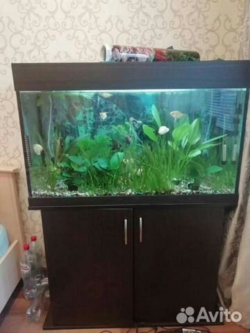 Аквариум 160 литров