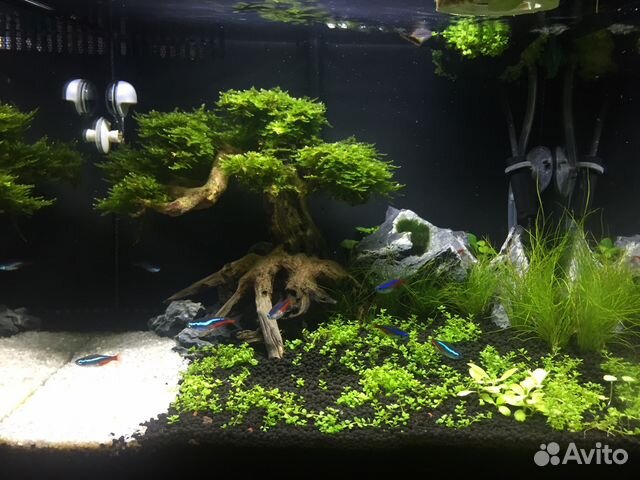 Аквариум Fluval Flex 34л