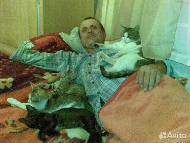 Котята и кошечки в добрые руки