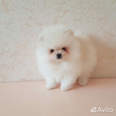 Крем мальчик