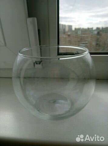 Вазон-аквариум на 1 литр