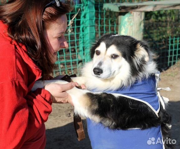 Пампушка - милушка Лада