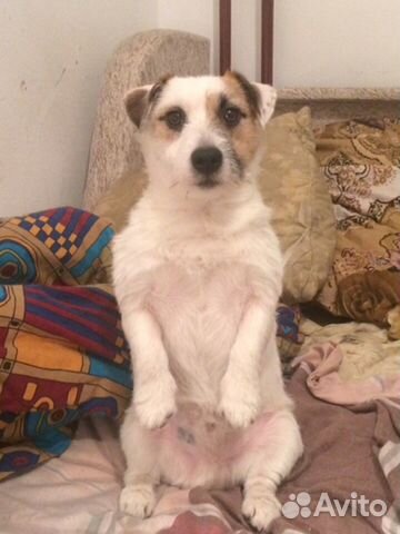 Ищем невесту