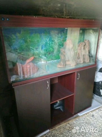 Аквариум