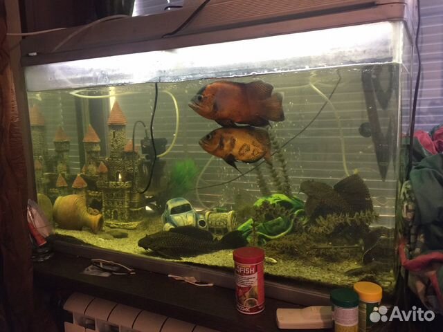 Продаю аквариум 200 л